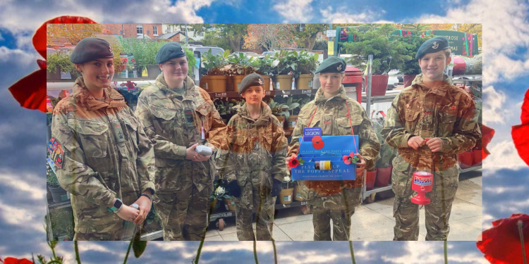 Wear your poppy with pride | Experience Henley